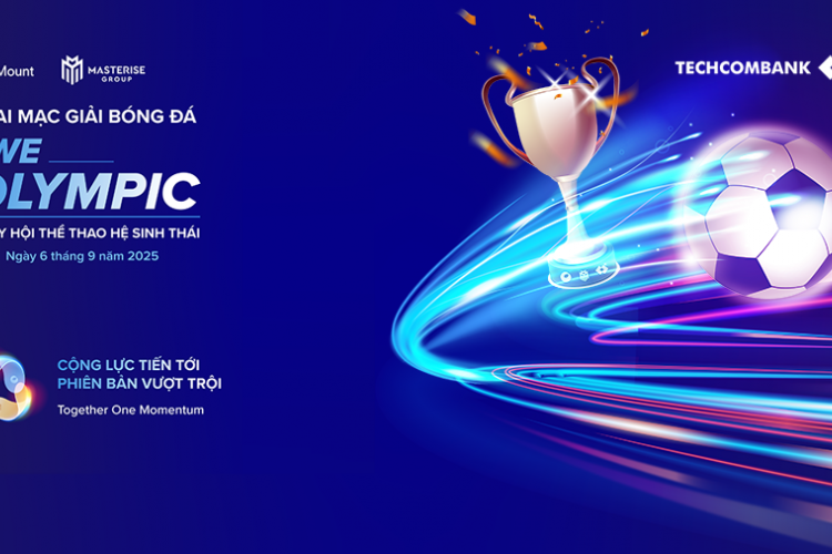 Giải bóng đá hệ sinh thái TCB - OMG - MAG miền Bắc năm 2025 | FAGLeague ...